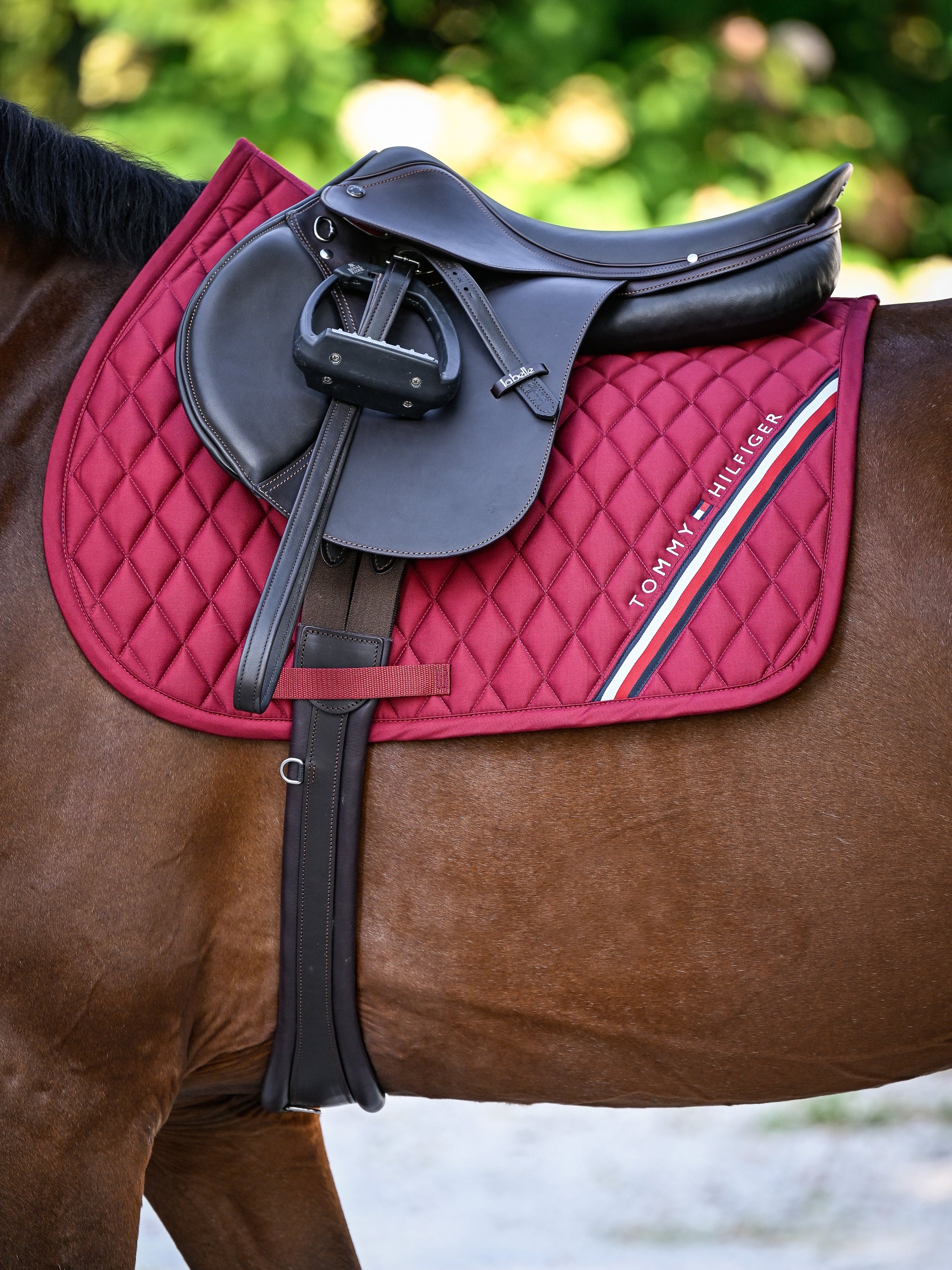 Stanford Jumping Saddle Pad REGATTA RED